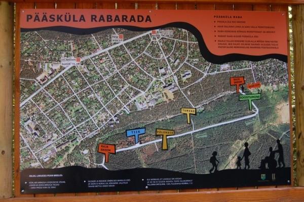 Pääsküla raba loodusõpperada, Harju maakond