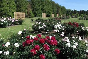 Tallinn Botanic Garden, Estonia