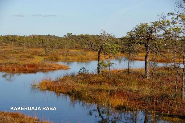 Kakerdaja bog hiking trail, Estonia