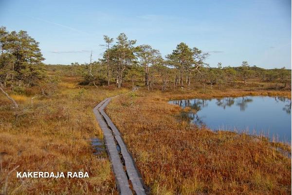 Kakerdaja bog hiking trail, Estonia
