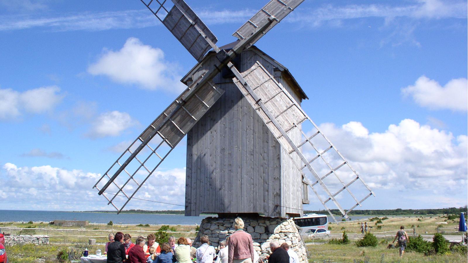 Ohessaare Tuulik, Saare maakond
