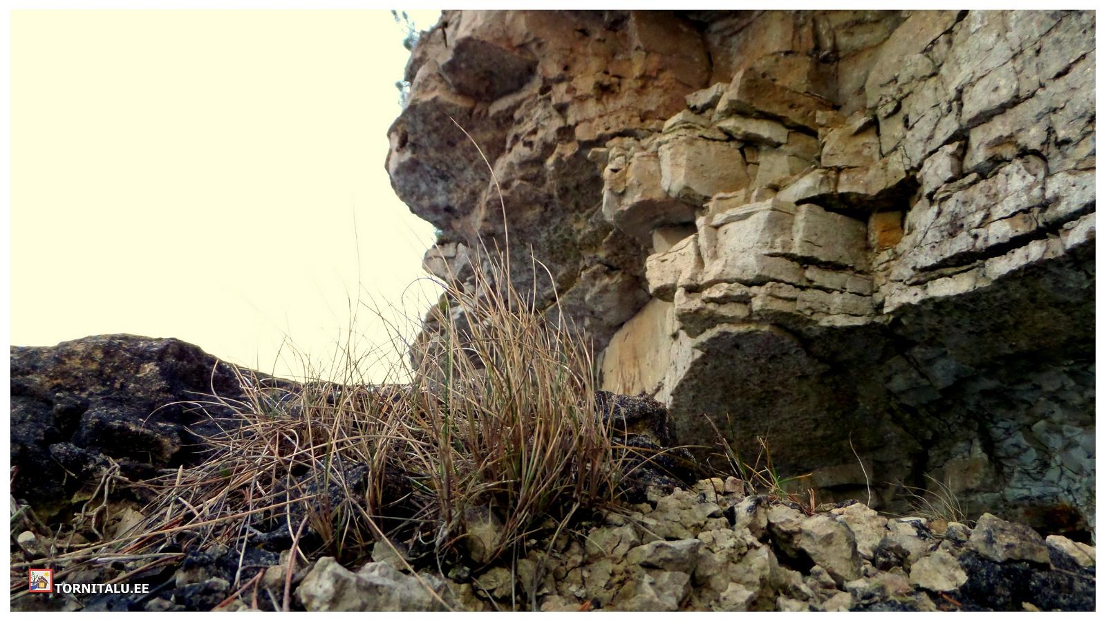 Pulli pank (Oiu pank)