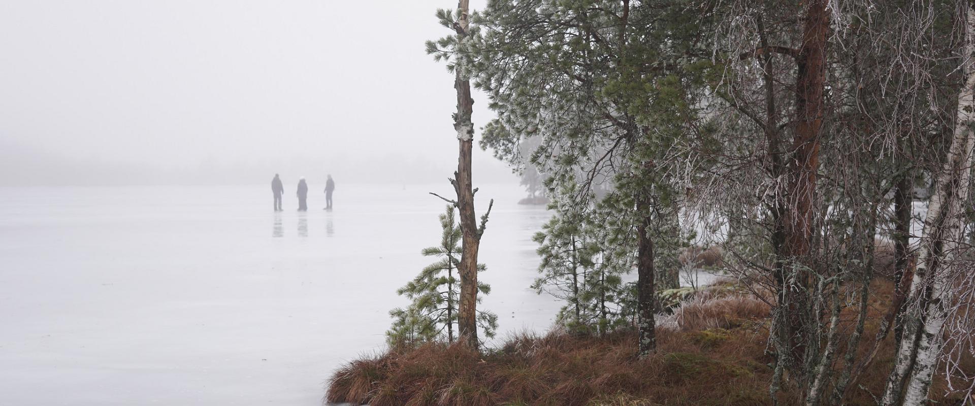 Löydä Viro | Visit Estonia