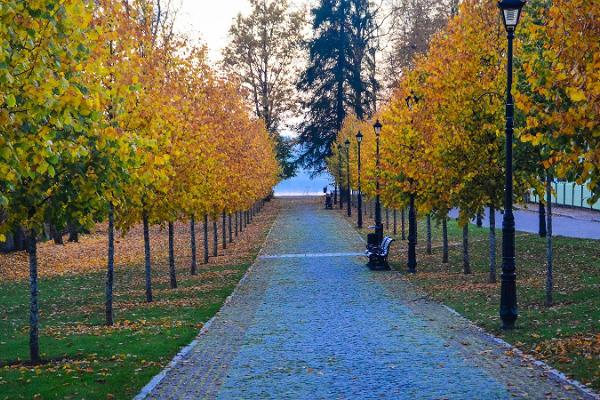 Katariina II skulptuur ja Katariina allee, Võru maakond