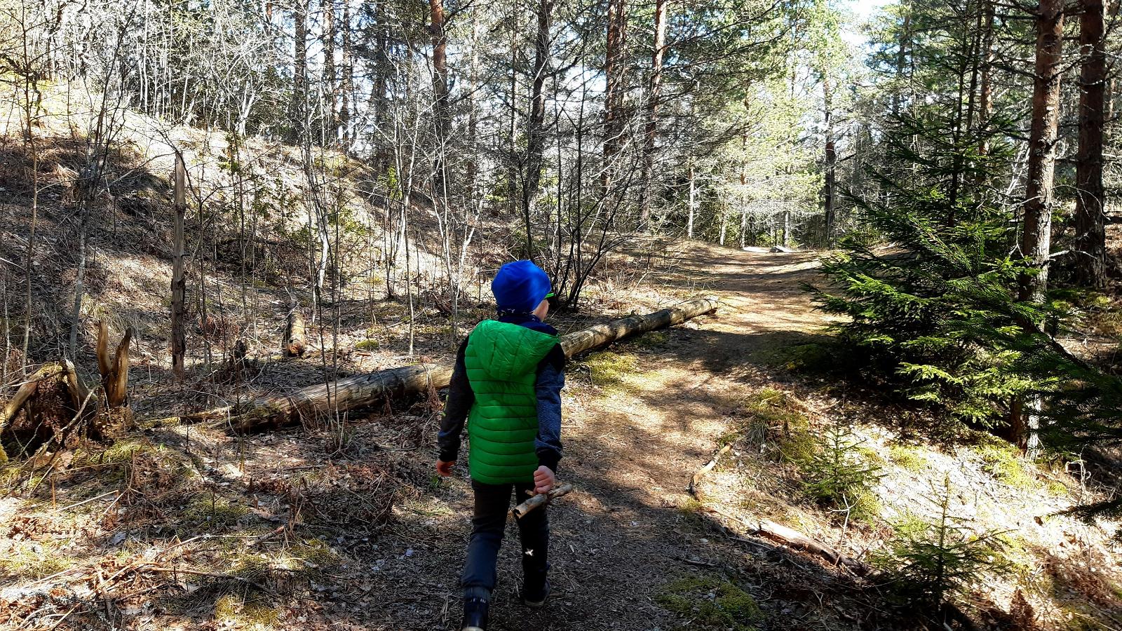 Palumägede matkarada ja lõkkekoht