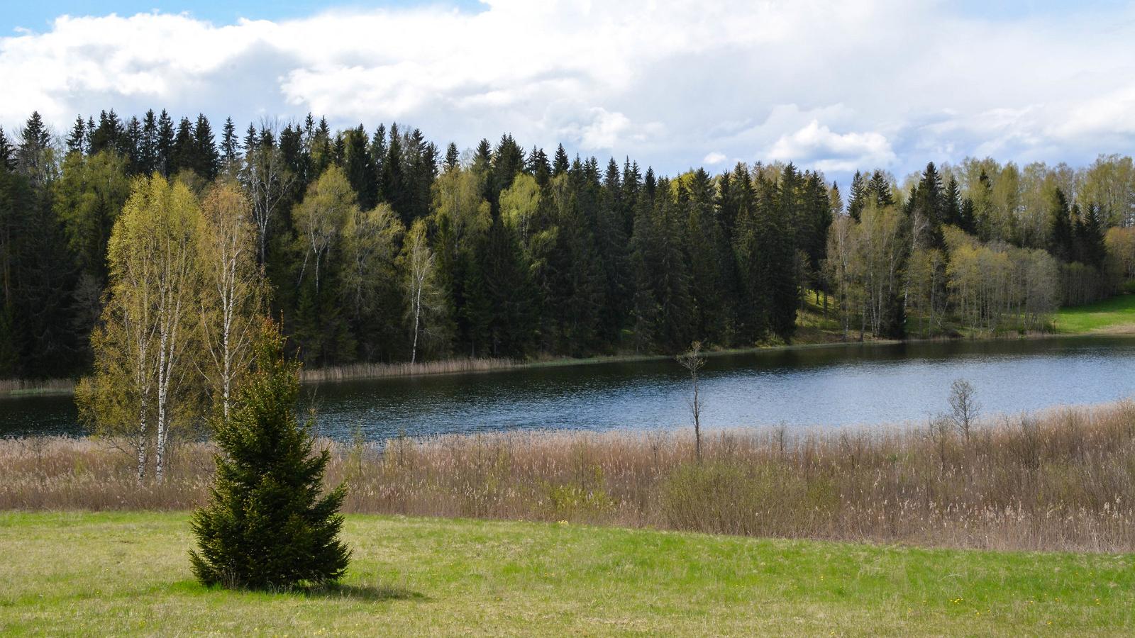 Hiking trail in the Rõuge Primeval Valley
