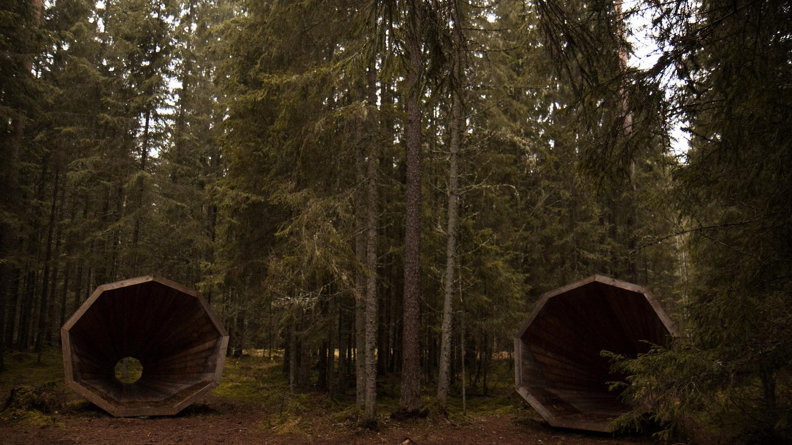 Forest megaphones in Võru County, Estonia