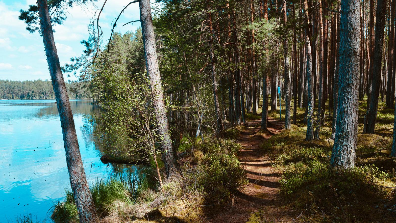 Mustjärve matkarada