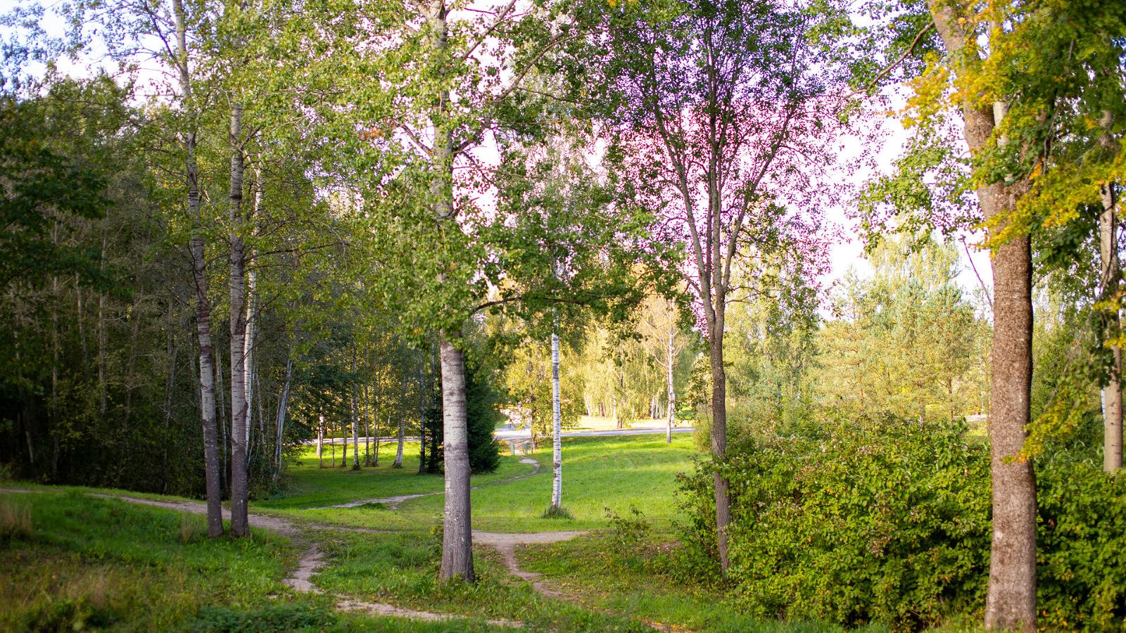 Abja- Paluoja terviserada