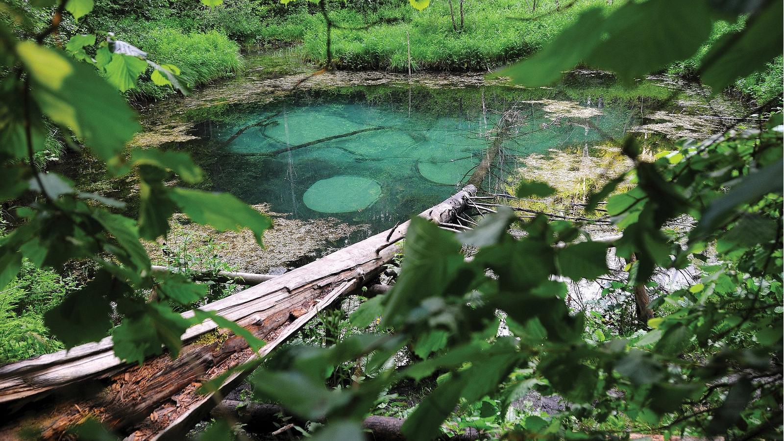 Ohvriallikad "Saula Siniallikad"