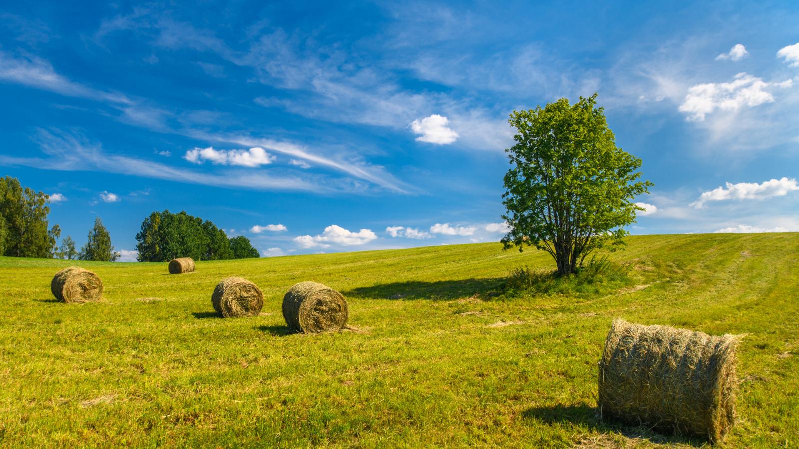 Karula National Park and National Park Visitor Centre in Lake Ähijärv ...