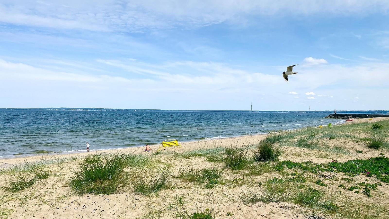 Stroomi beach, Estonia