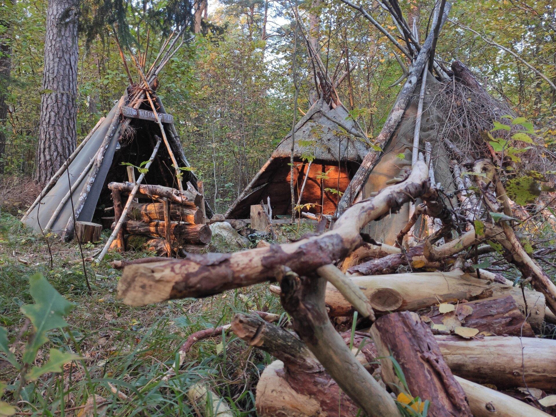 Navicup - Interactive Self-Guided Tour, Audio Guide & White Label App ...