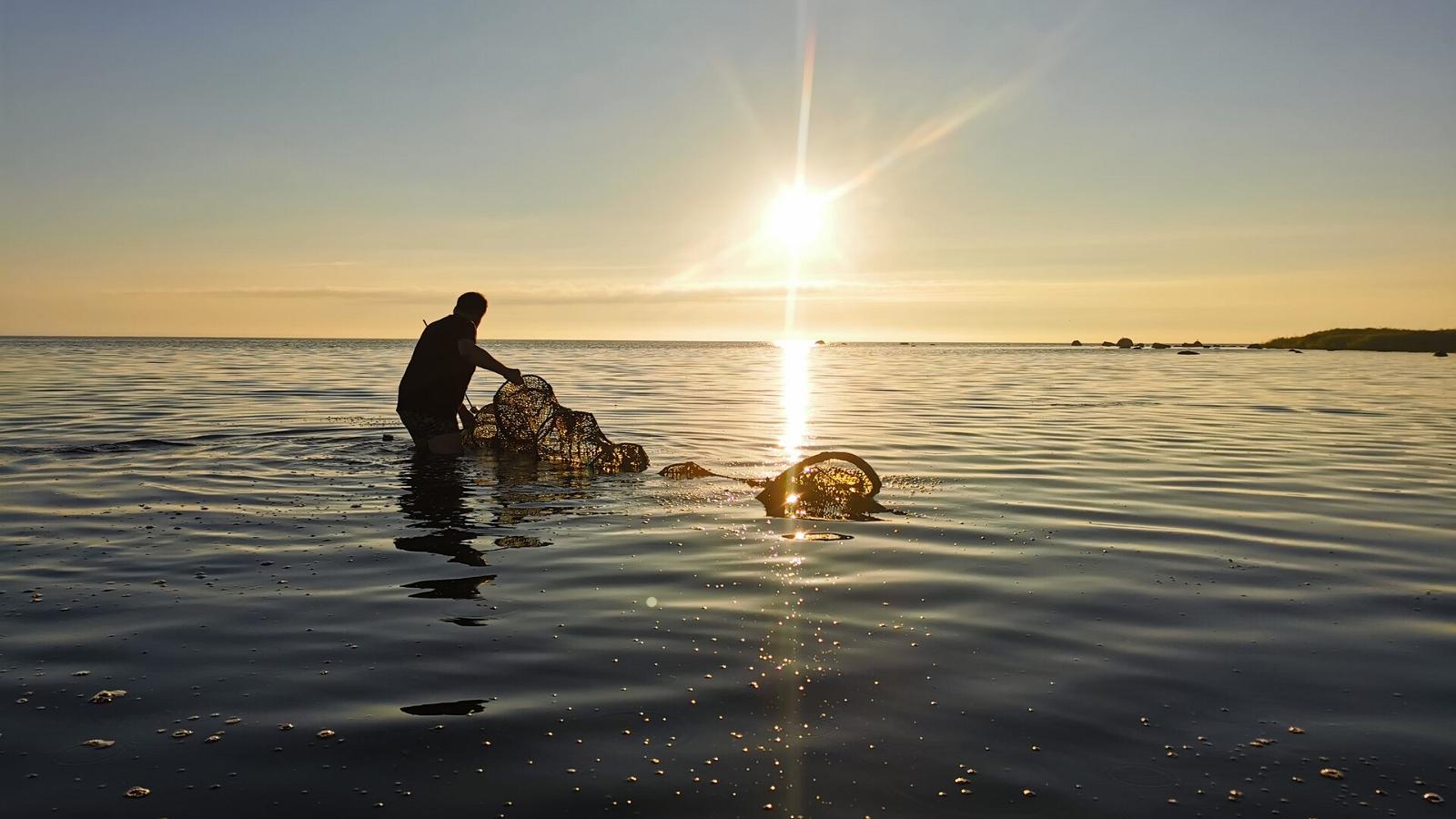 Vahtra Turismitalu Abrukal