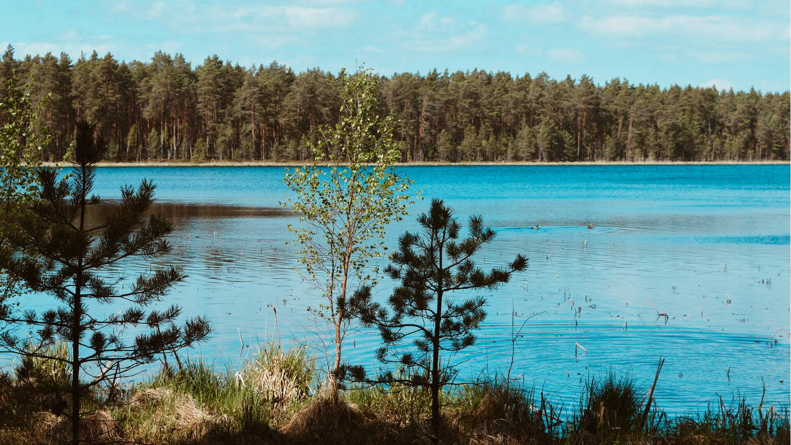 Mustjärve matkarada, Tartu maakond
