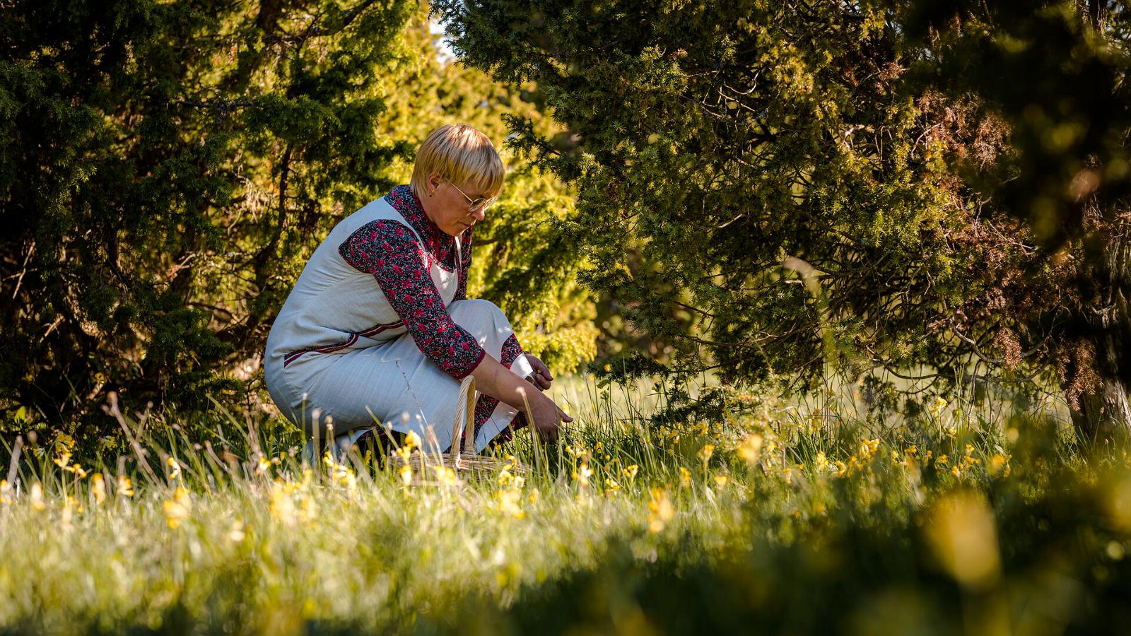 Elamuspuhkus Liisiga Orbu talu Kadakakojas