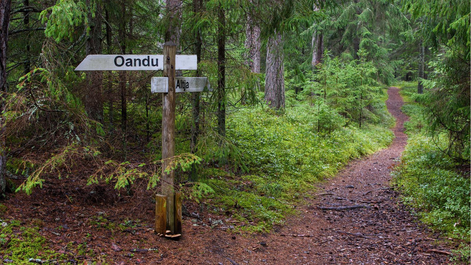 Oandu-Võsu matkarada