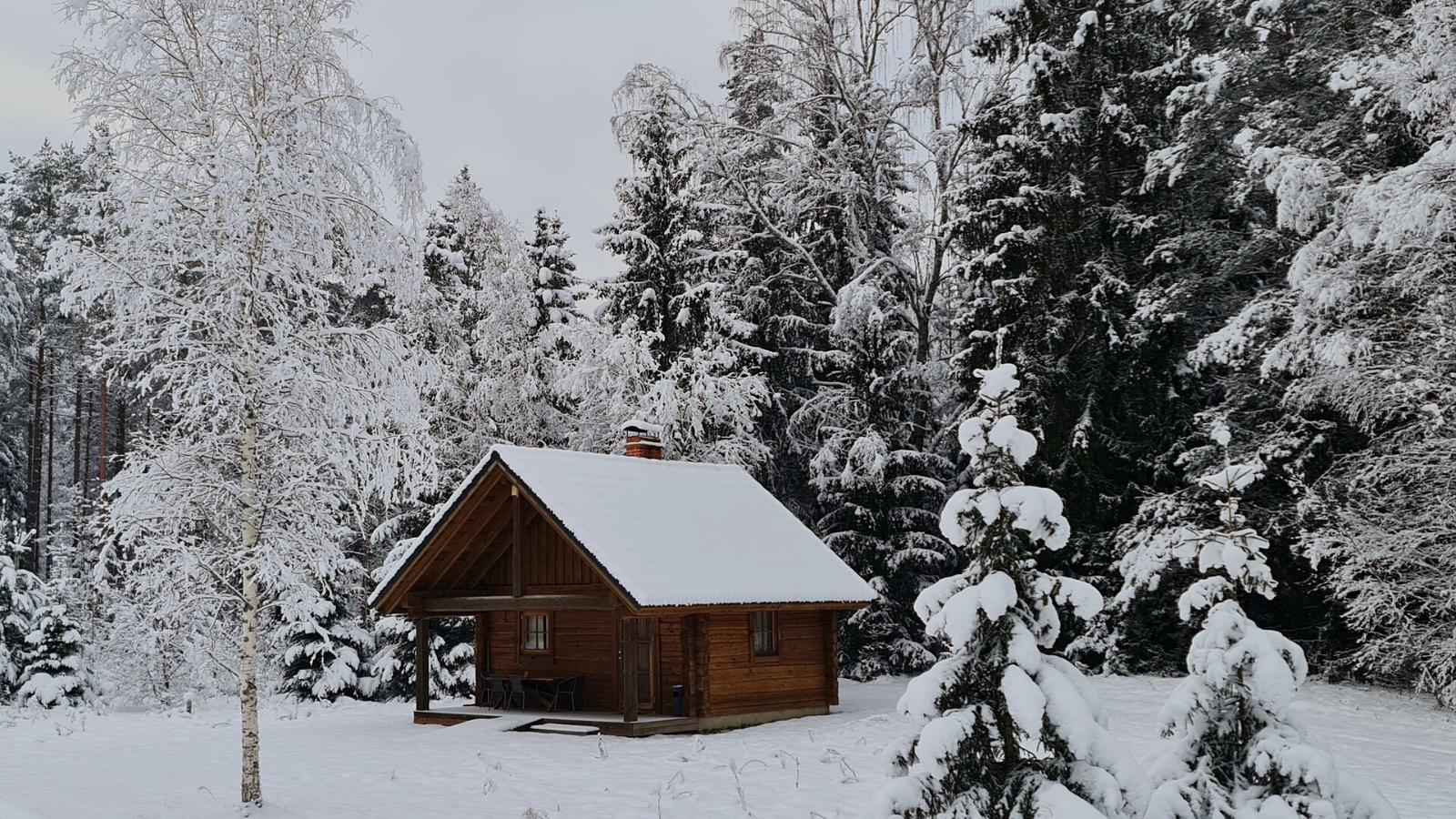 Tõrvaaugu metsamajad